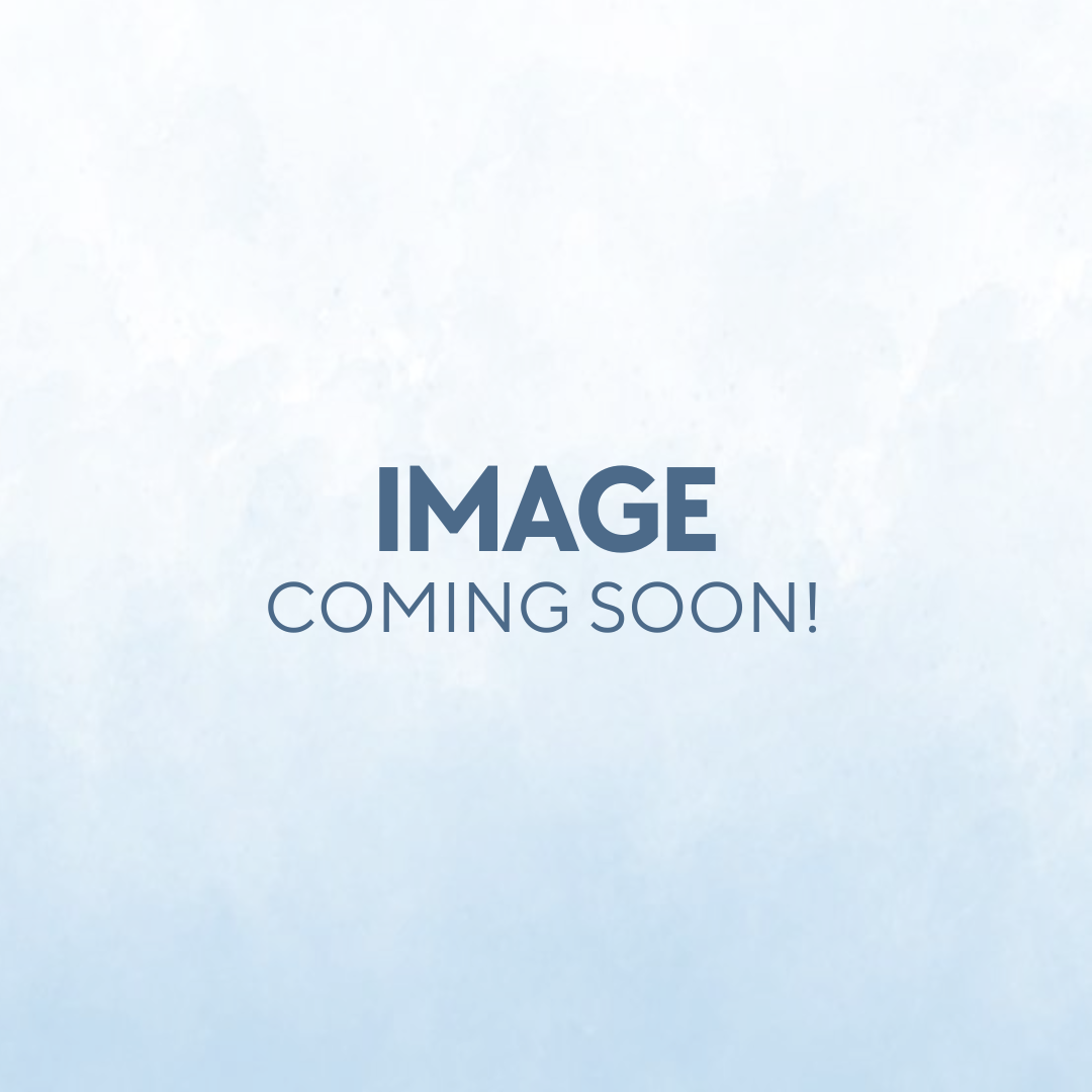 Salmon Aburi Open Roll Aburi (2pc) | Sushi Hide